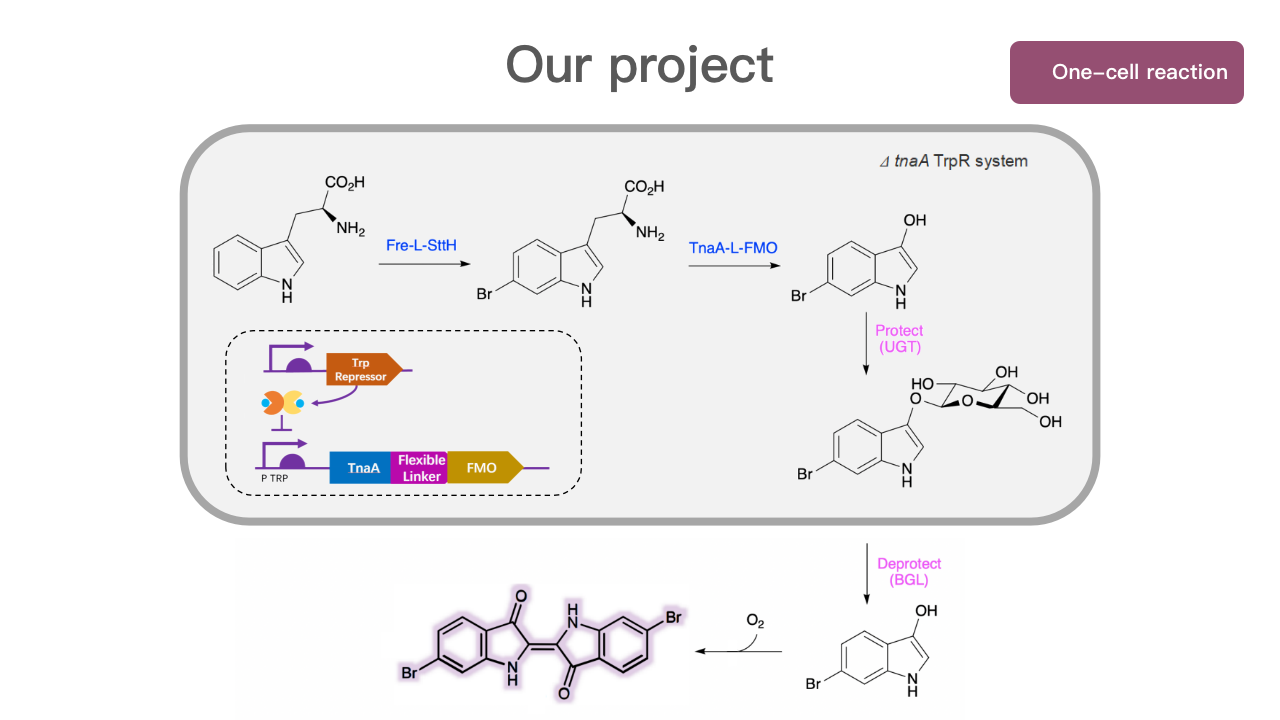 iDEC 2022 | SUSTech_Shenzhen